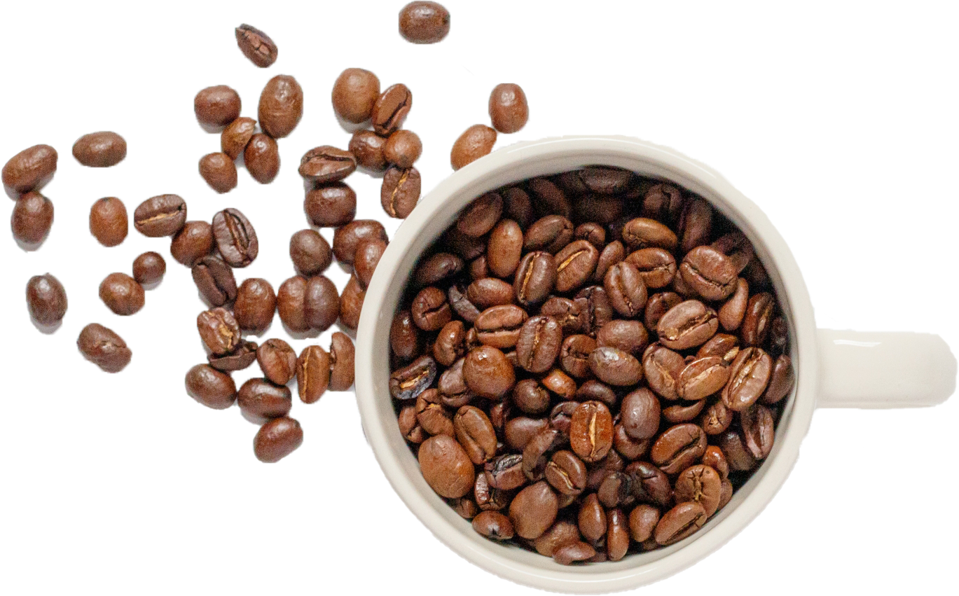 鹿児島市のカフェ・コーヒー販売｜Blue Beans Roastery